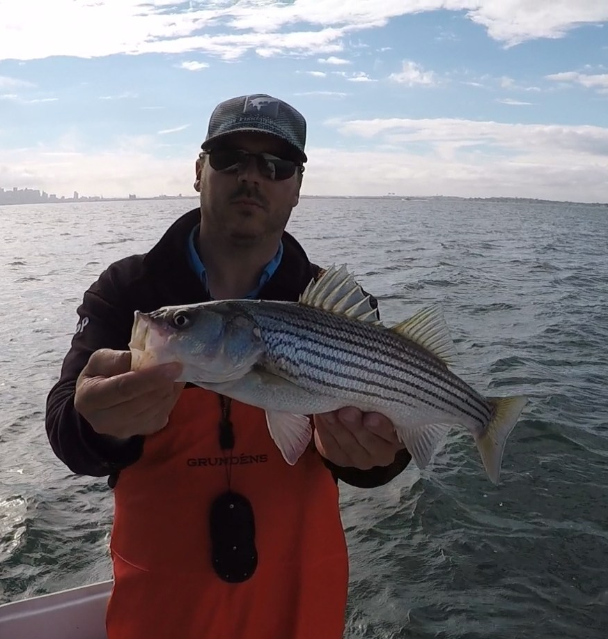 Boston Skyline in the background – Fly Fishing Boston | Fly Fishing ...