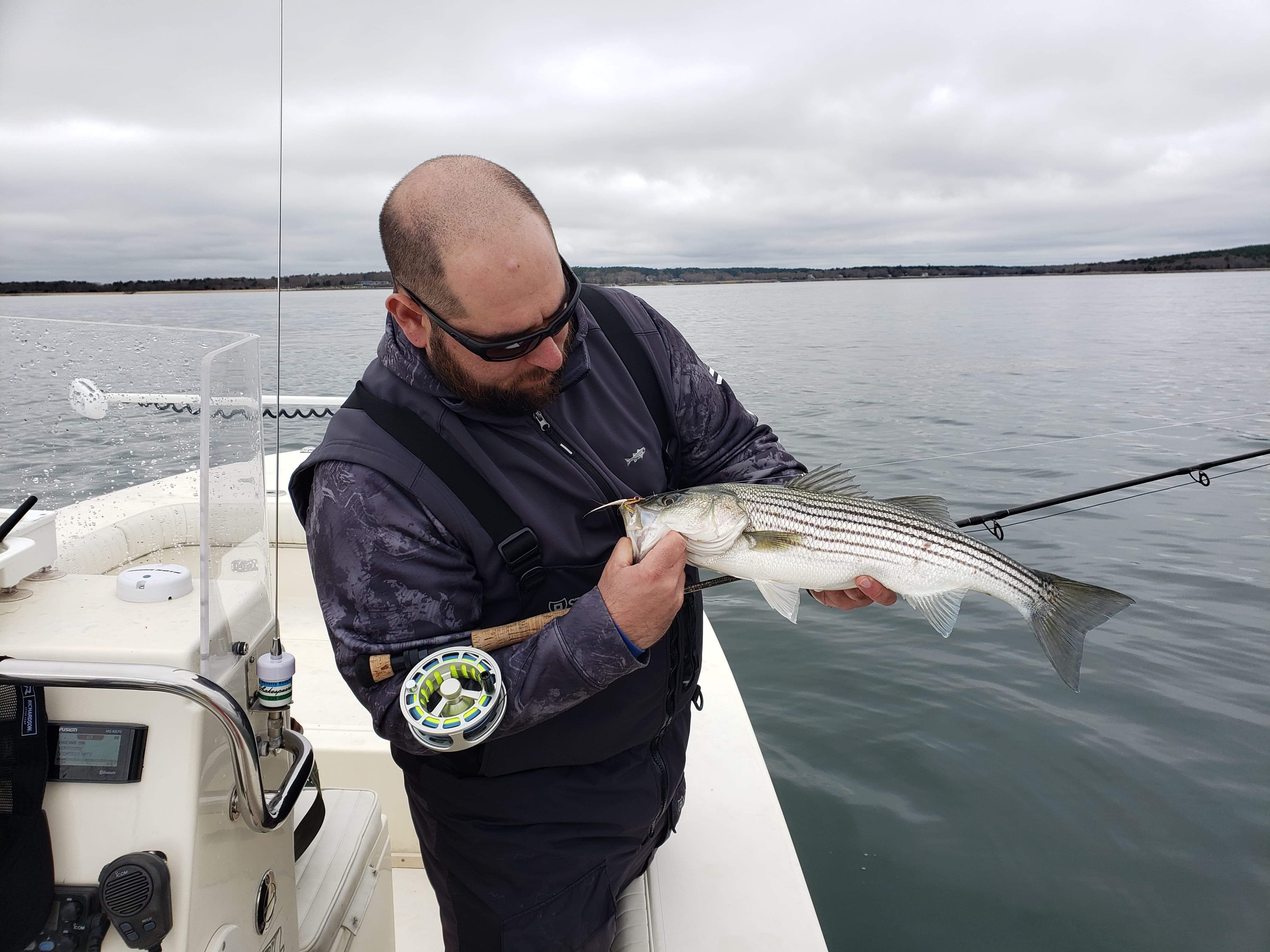 Brian with a fresh schoolie on the fly – Fly Fishing Boston | Fly ...